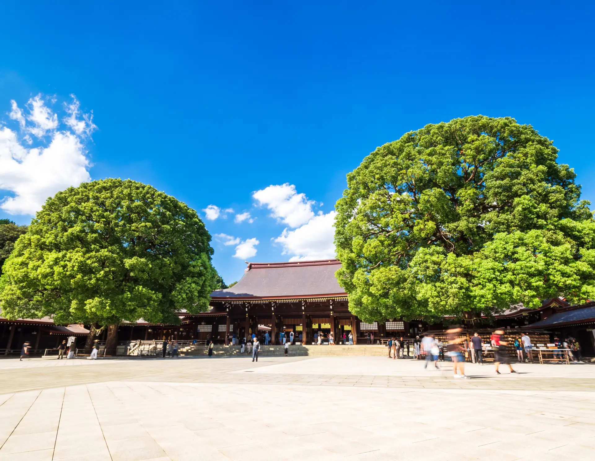 [Complete Meiji Jingu Shrine Travel Guide] Highlights, History, and ...