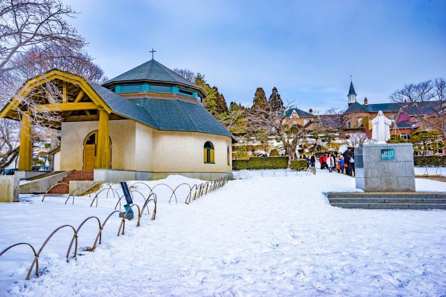 Winter Trip to Hakodate [Day 2] ~Goryokaku, Hakodate City Tropical ...