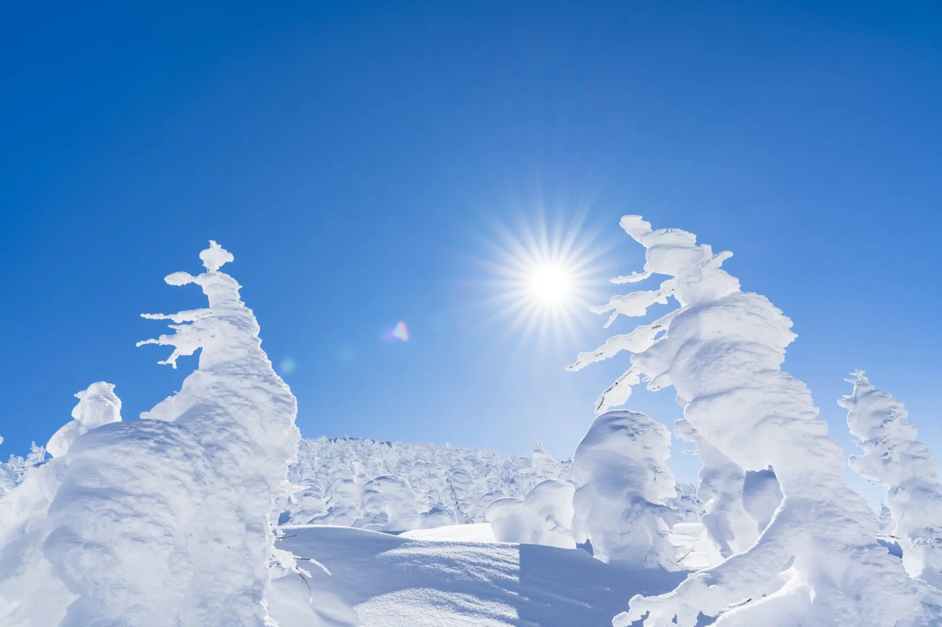 Yamagata’s Spectacular Winter Scenery: A Complete Travel Guide to Zao ...