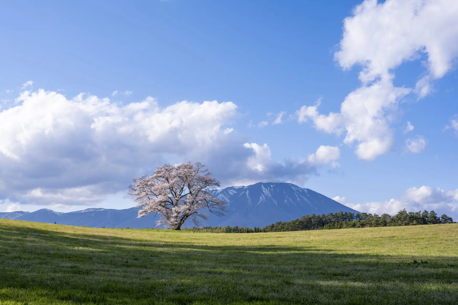 14 Things to Do in Morioka | GOOD LUCK TRIP