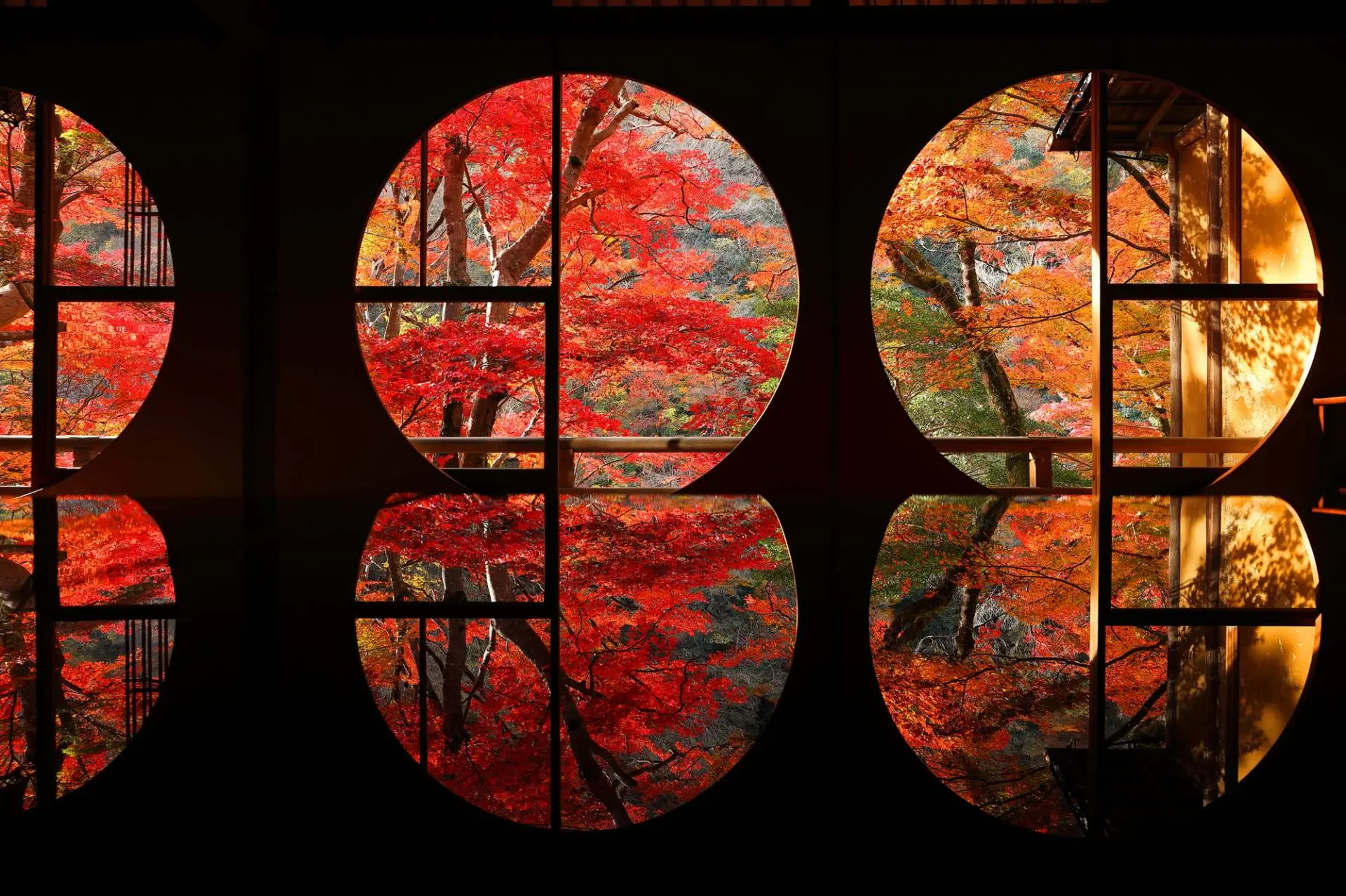 Japan Autumn Leaves Guide: Read up this Rundown of Japan’s Best Foliage ...