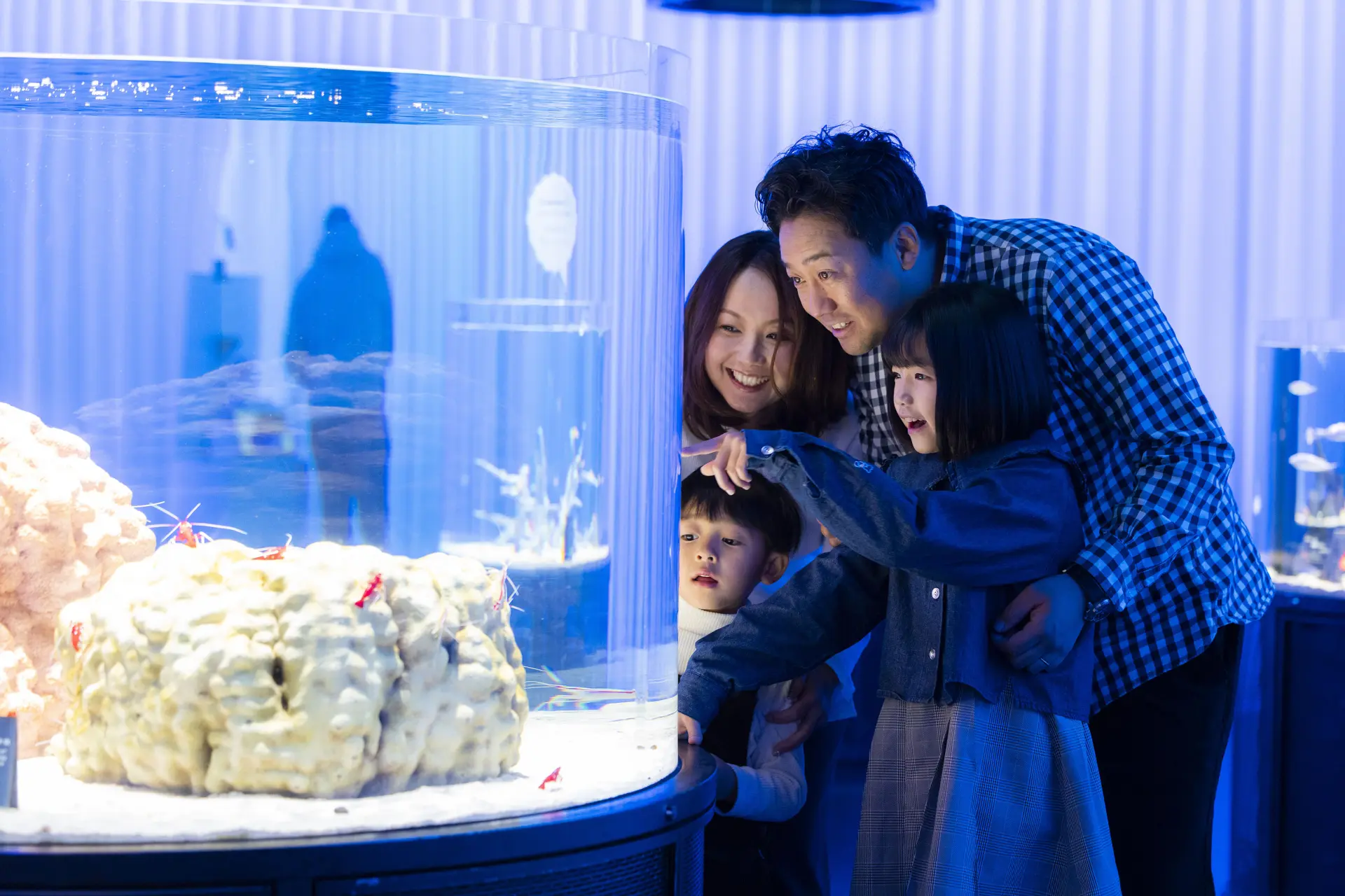 【水生美世界NIFREL完整指南】從大阪市內輕鬆前往！玩法&必看重點一篇搞定！ | 好運日本行