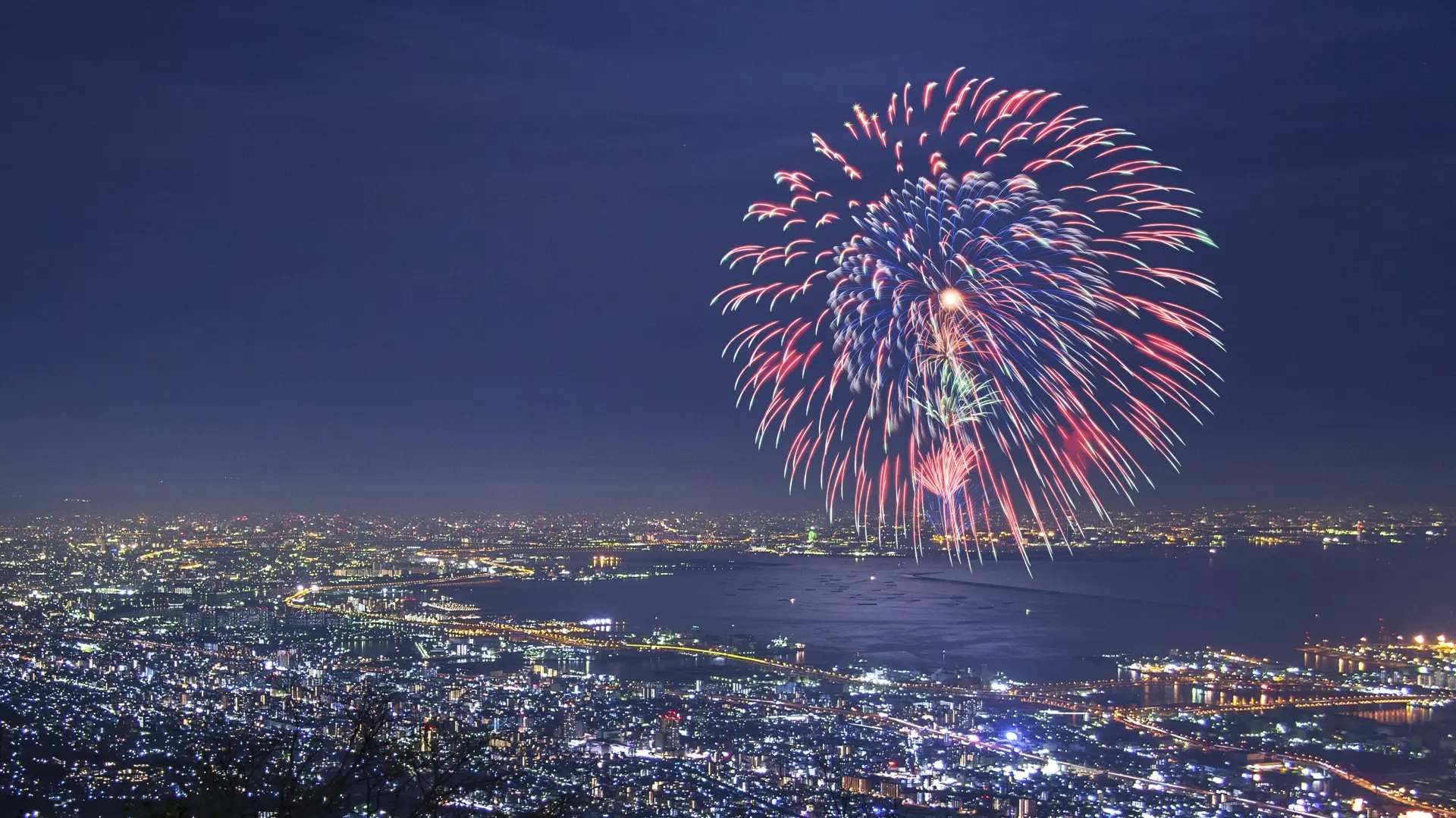 A Fireworks Enthusiast's Guide to the World of Japanese Fireworks: 9 ...