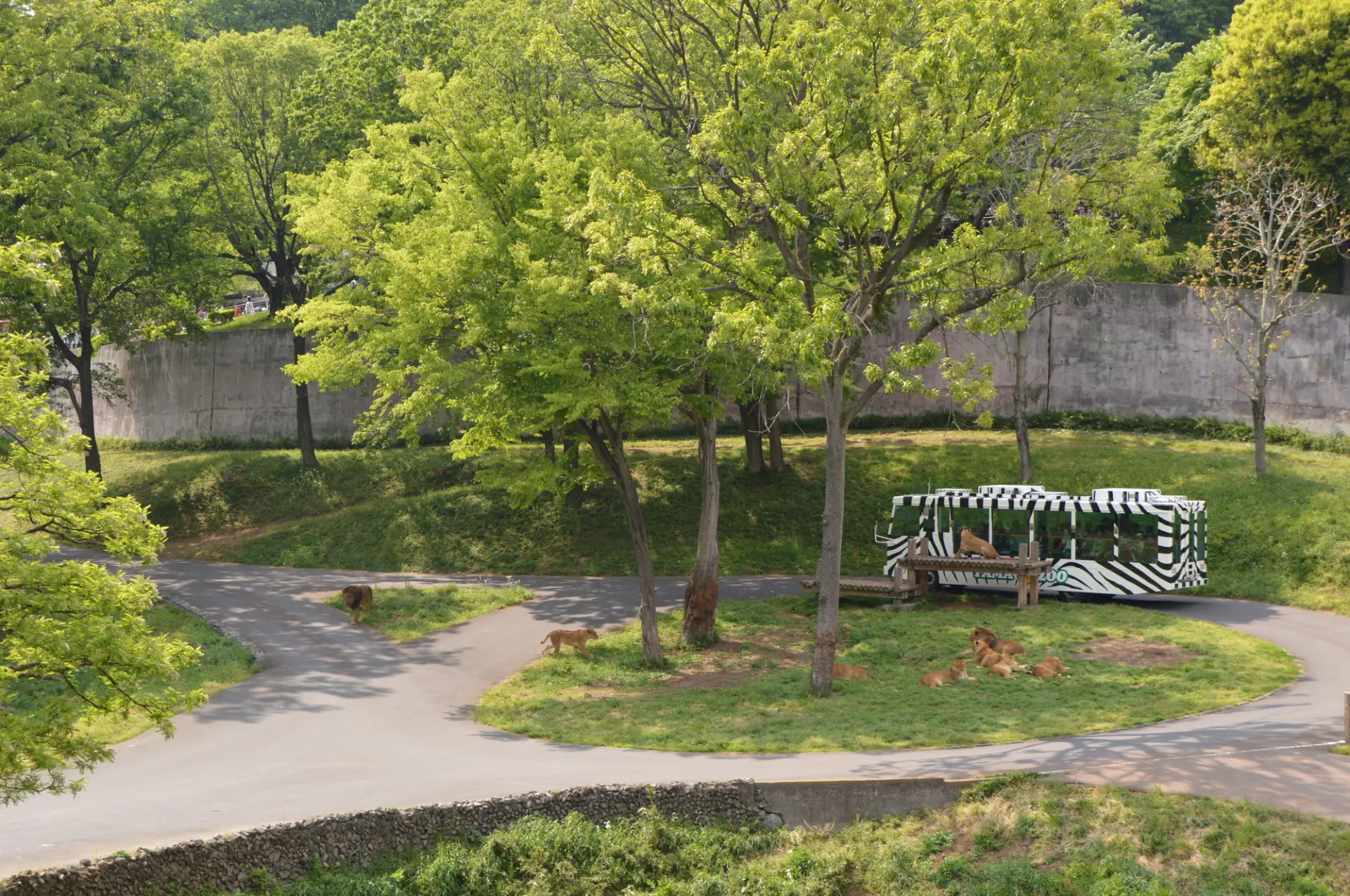 Tama Zoological Park - Must-See, Access, Hours & Price | GOOD LUCK TRIP