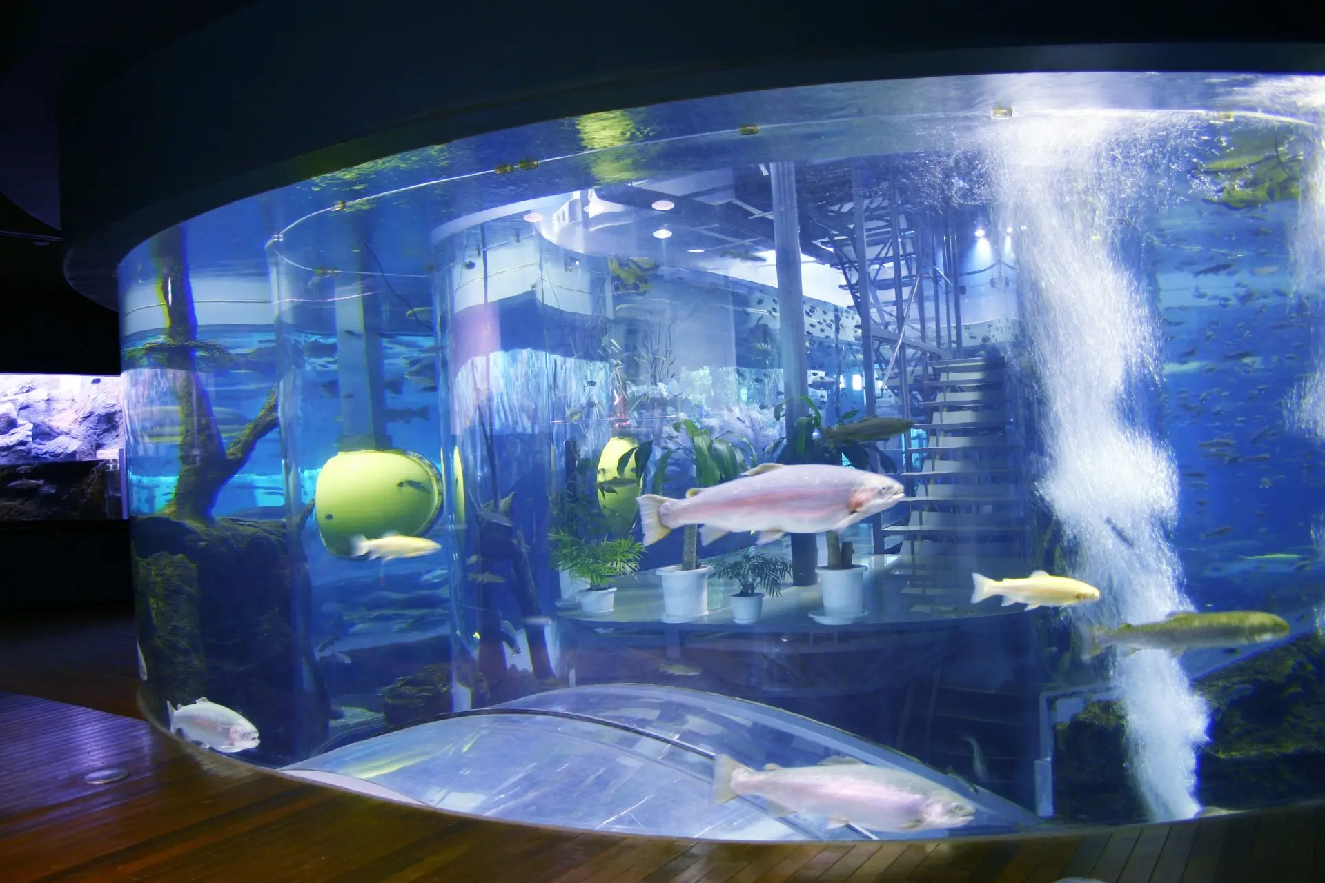 Fuji Spring Water Aquarium - Must-See, Access, Hours & Price | GOOD ...
