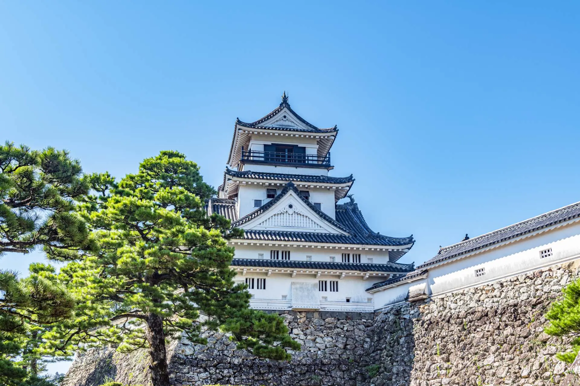 Kochi Castle - Must-See, Access, Hours & Price | GOOD LUCK TRIP