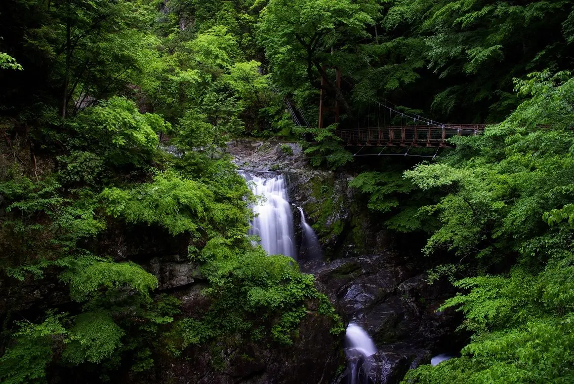 Mitarai Gorge - Must-See, Access, Hours & Price | GOOD LUCK TRIP