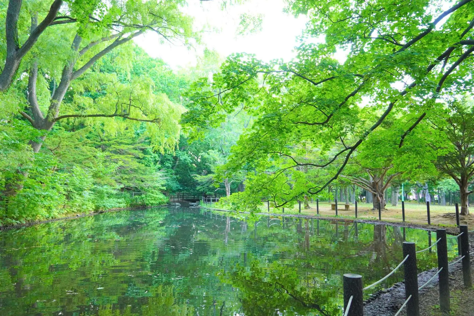 Maruyama Park (Sapporo) - Must-See, Access, Hours & Price | GOOD LUCK TRIP