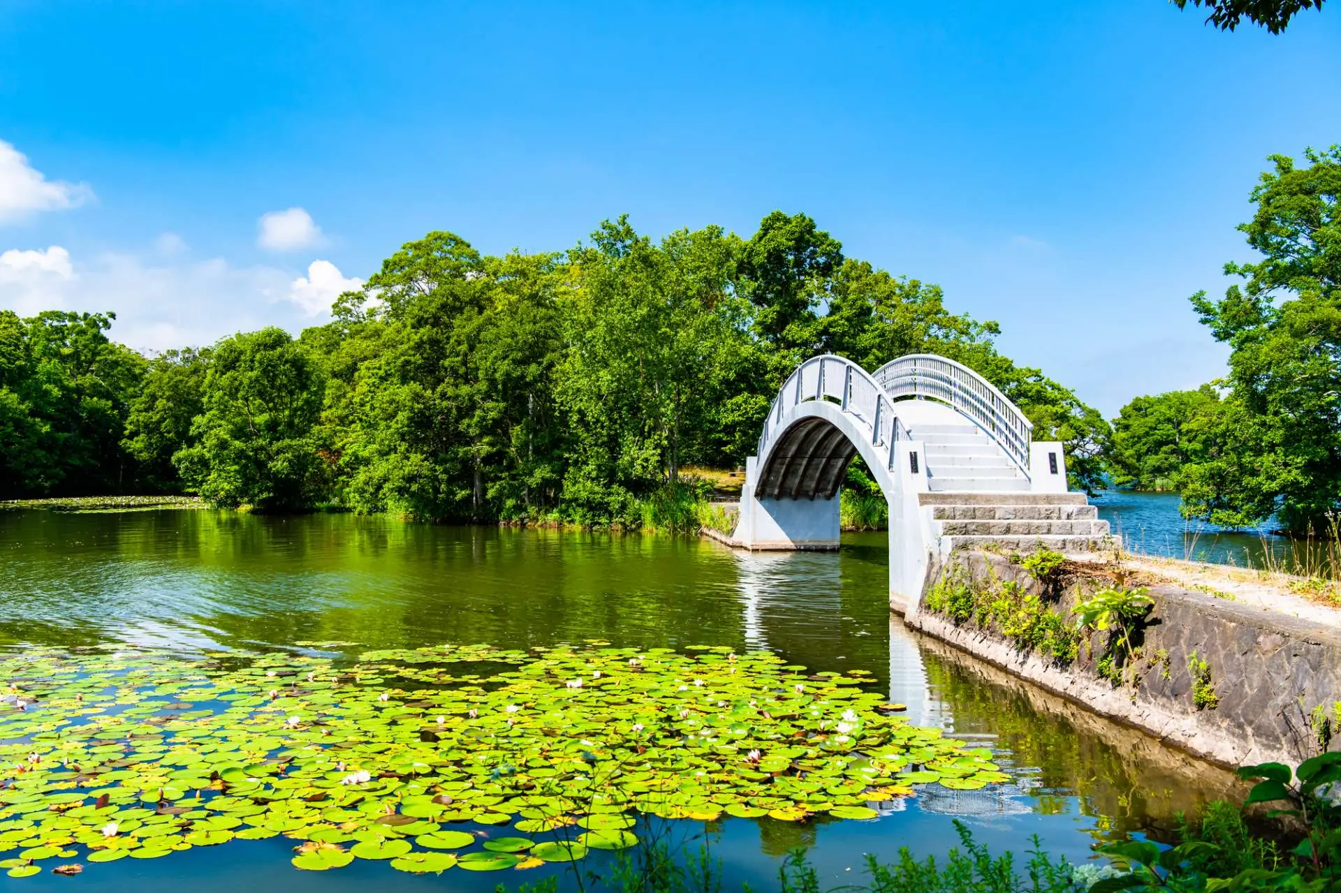 Onuma Quasi National Park - Must-See, Access, Hours & Price | GOOD LUCK ...