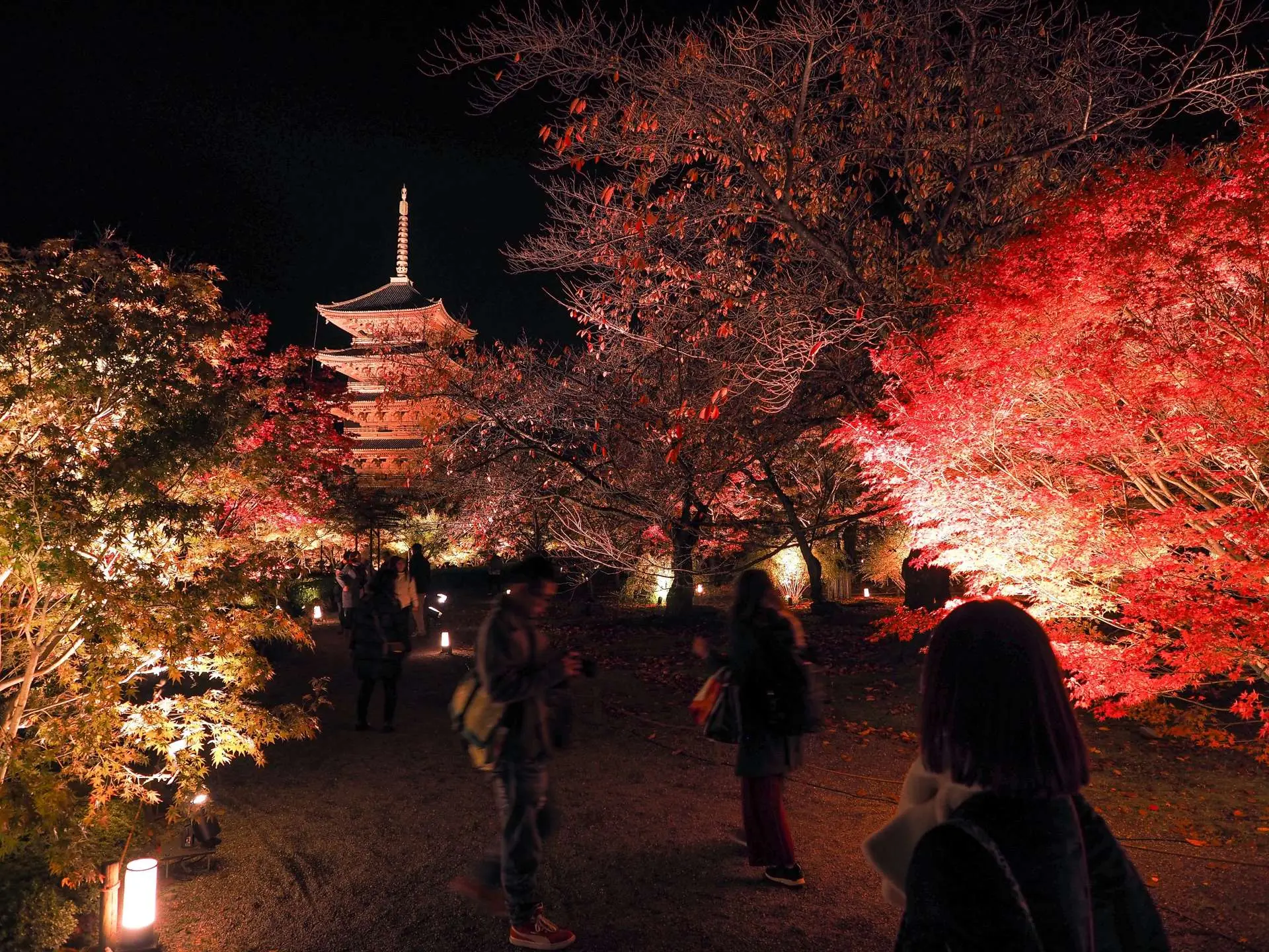 Toji Temple - Must-See, Access, Hours & Price | GOOD LUCK TRIP