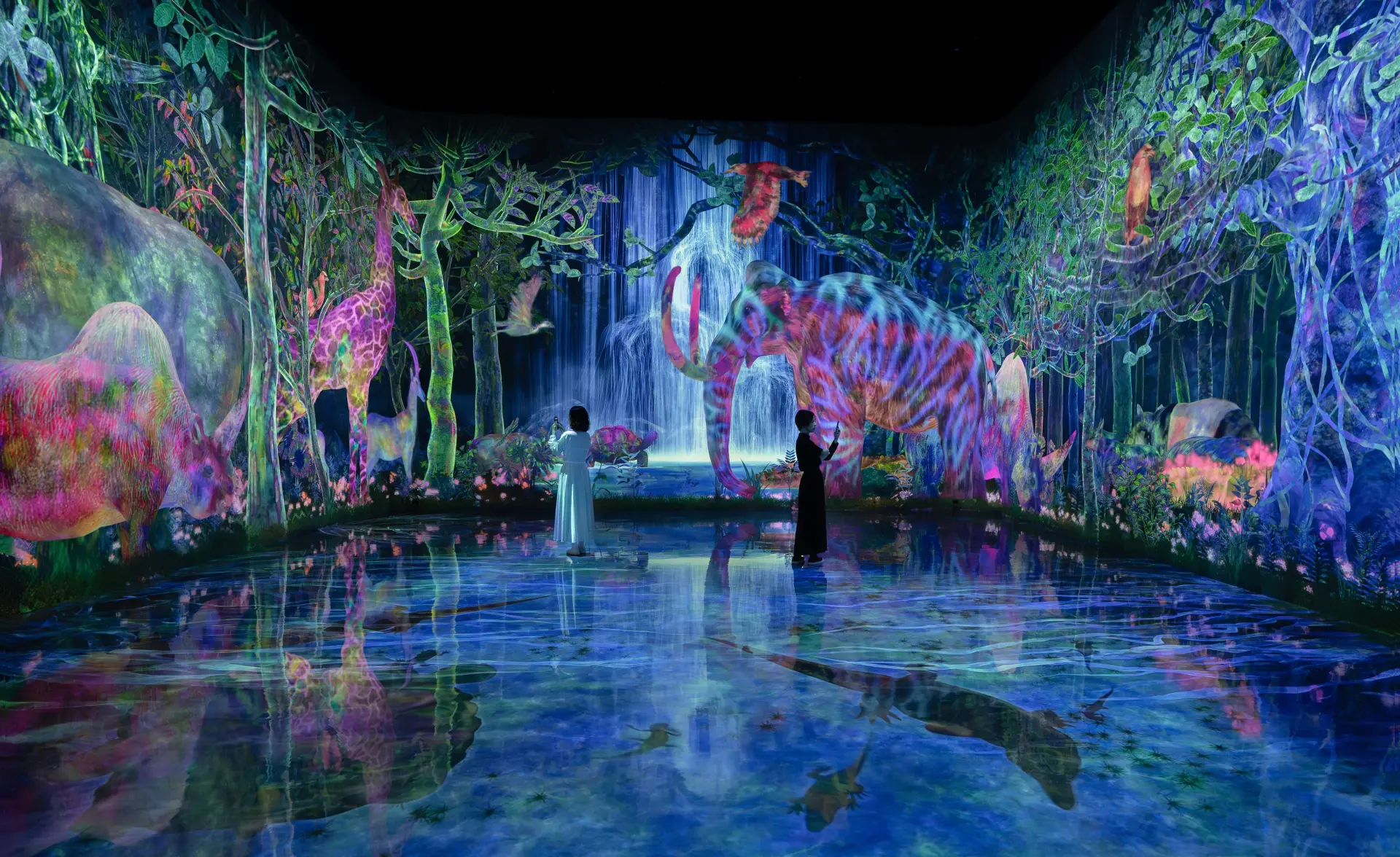 teamLab Planets TOKYO DMM.com - Must-See, Access, Hours & Price | GOOD LUCK TRIP