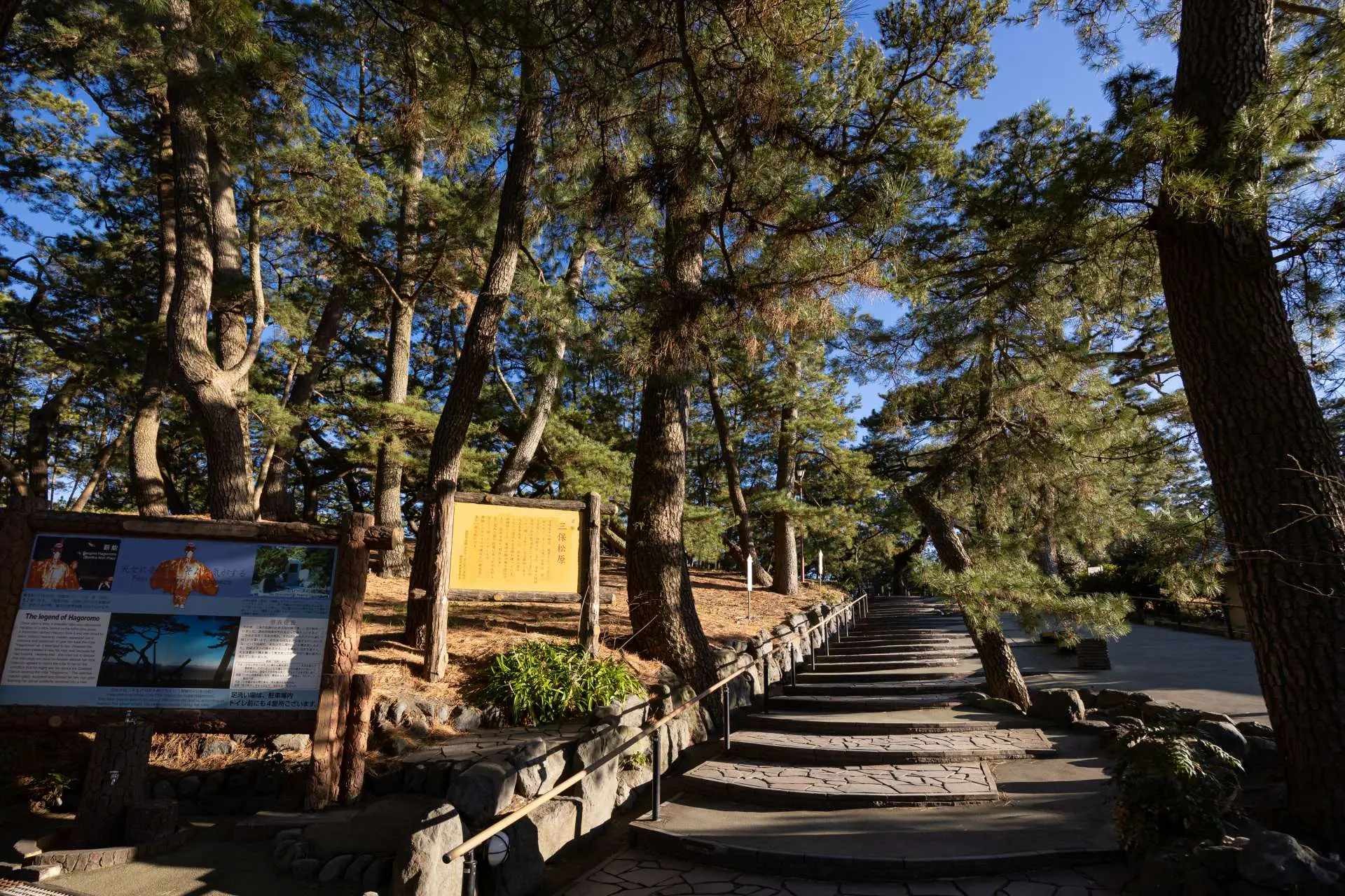 Miho no Matsubara - Must-See, Access, Hours & Price | GOOD LUCK TRIP