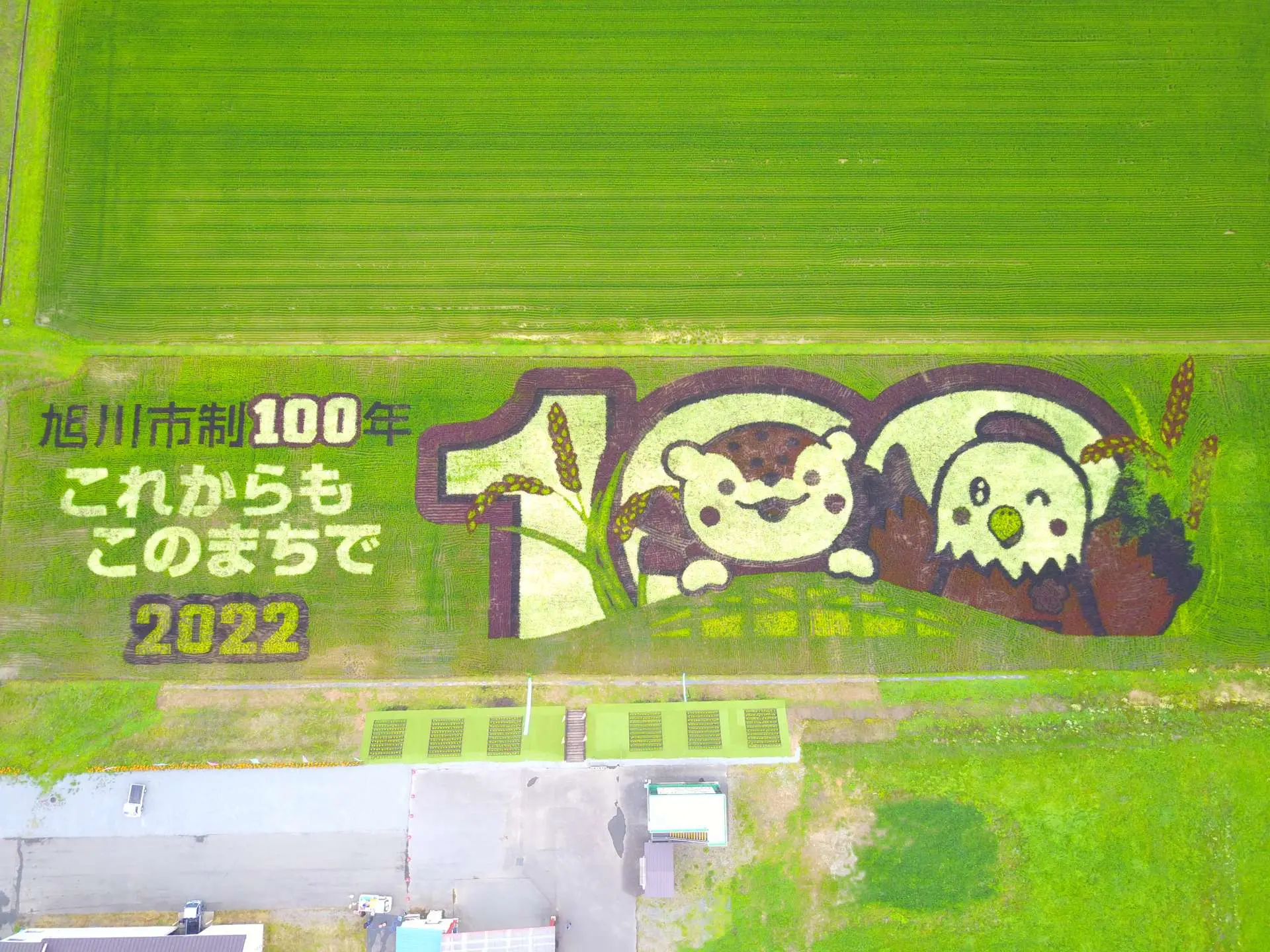 Tanbo Art (Rice fields Art）[Asahikawa] - Must-See, Access, Hours ...