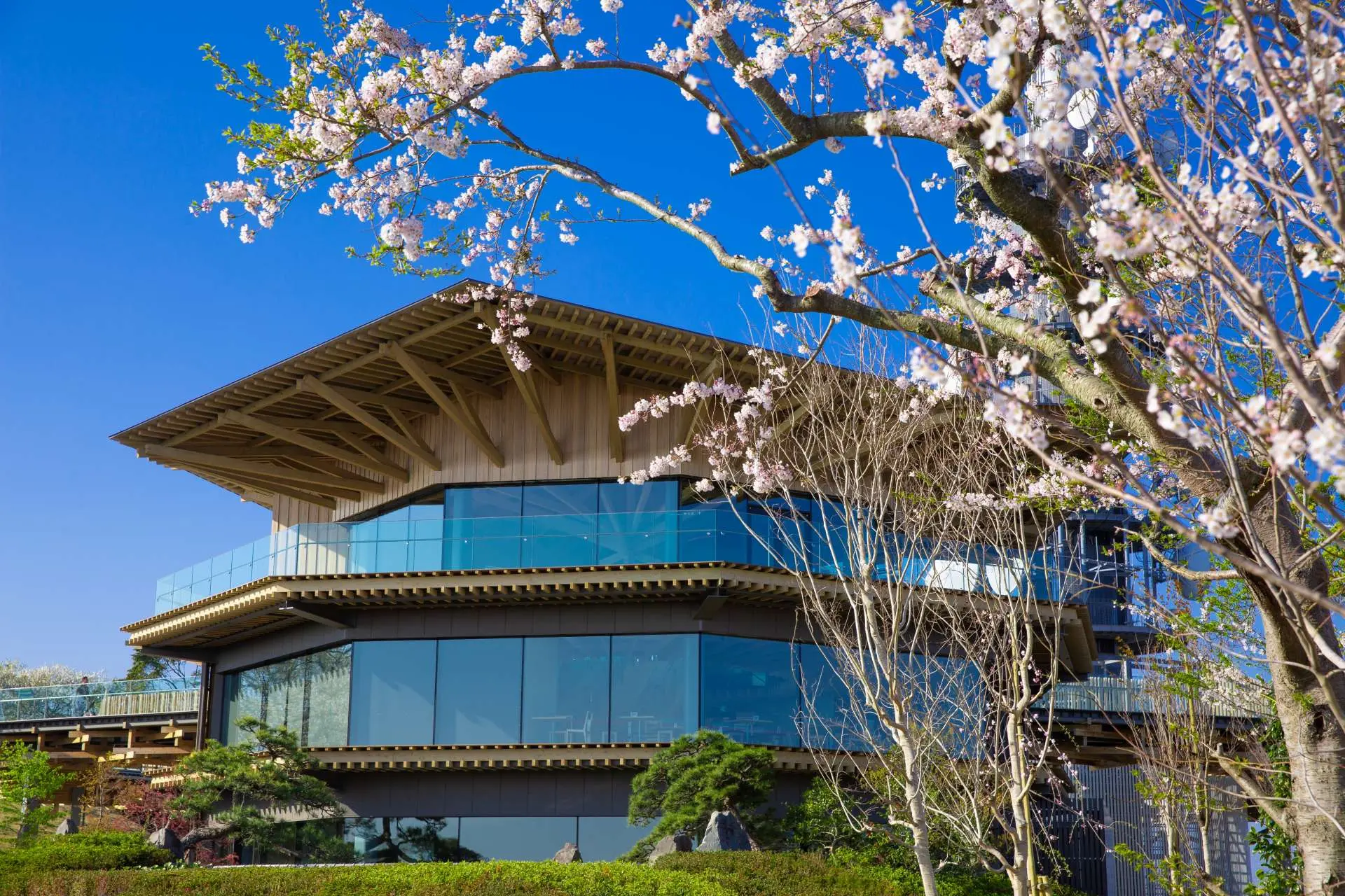 Nihondaira Yume Terrace - Must-See, Access, Hours & Price | GOOD LUCK TRIP