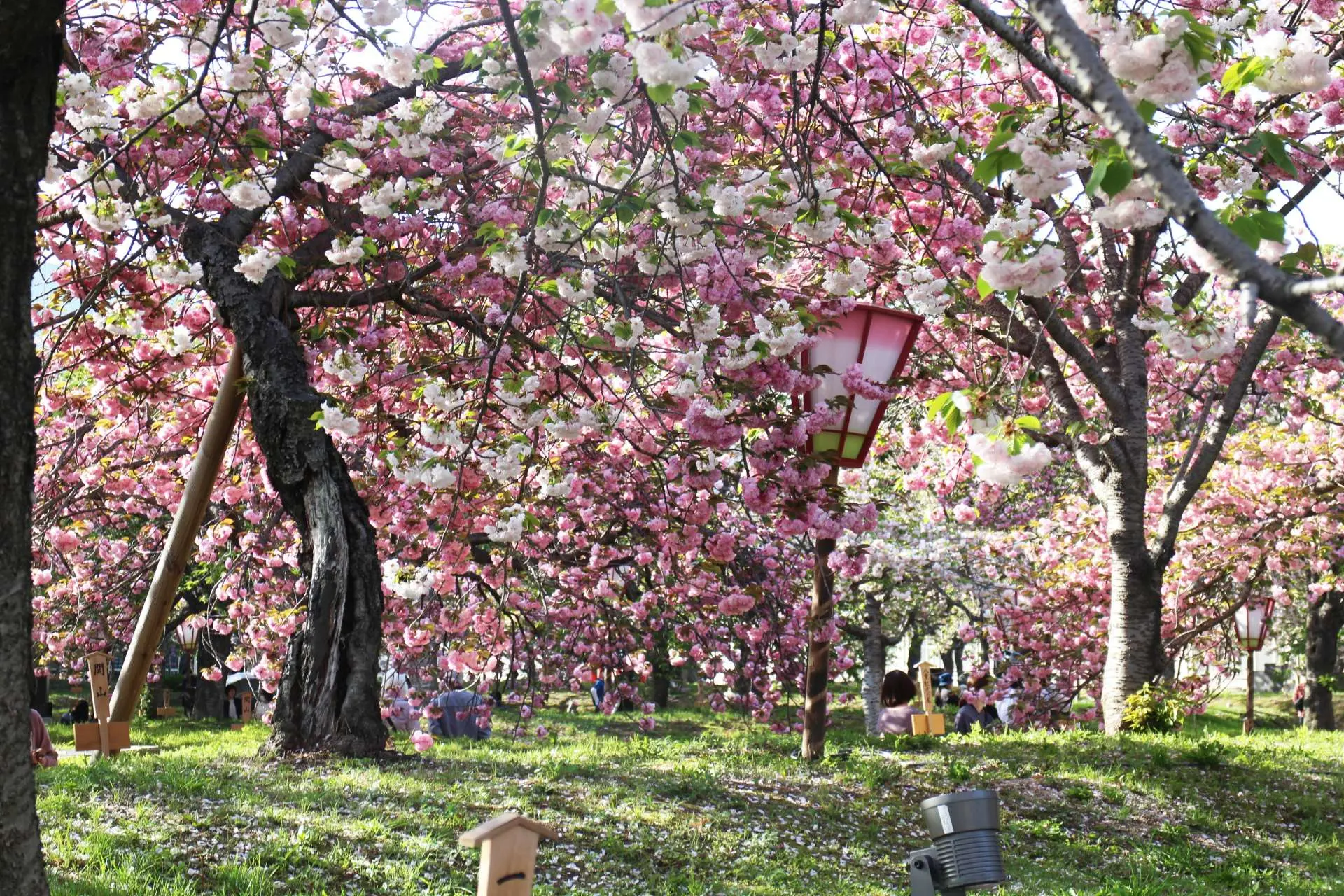 Japan Mint Hiroshima Branch - Must-See, Access, Hours & Price | GOOD ...