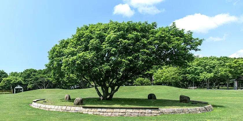 Midorigaoka Park (Tomakomai City, Hokkaido) - Must-See, Access, Hours ...