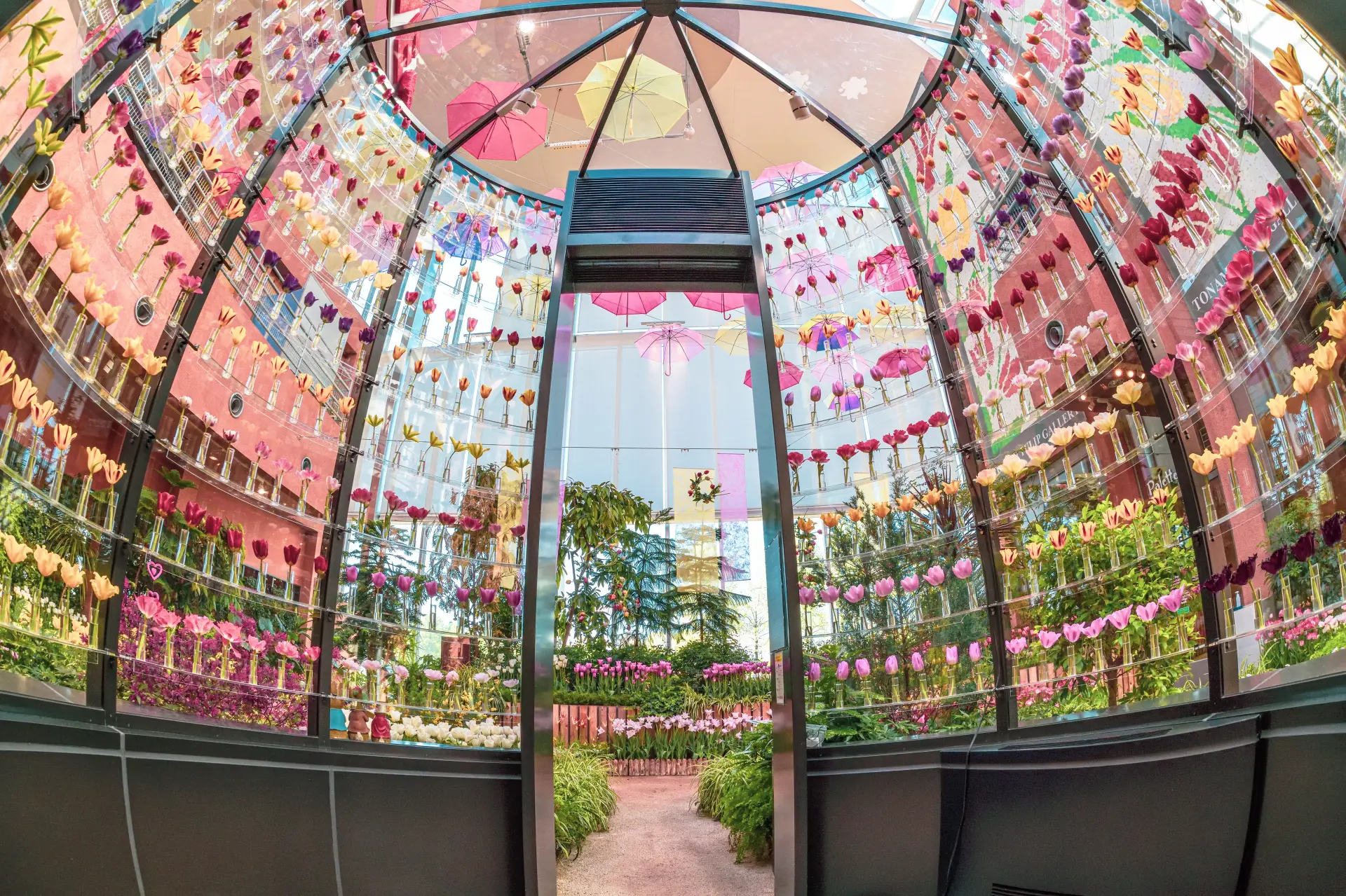Tonami Tulip gallery - Must-See, Access, Hours & Price | GOOD LUCK TRIP