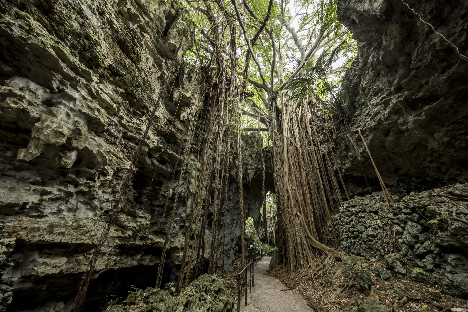 Valley of Gangala - Must-See, Access, Hours & Price | GOOD LUCK TRIP
