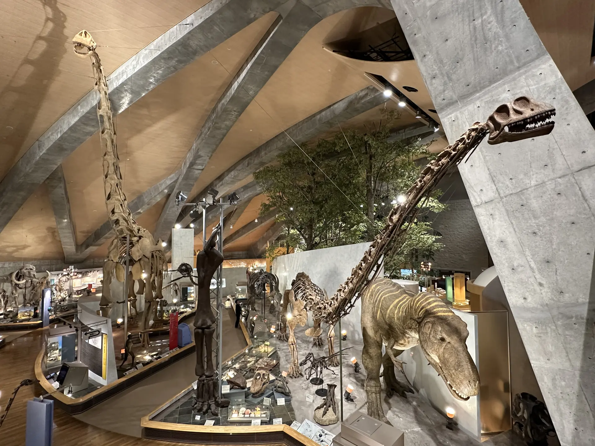 Gunma Museum of Natural History - Must-See, Access, Hours & Price ...